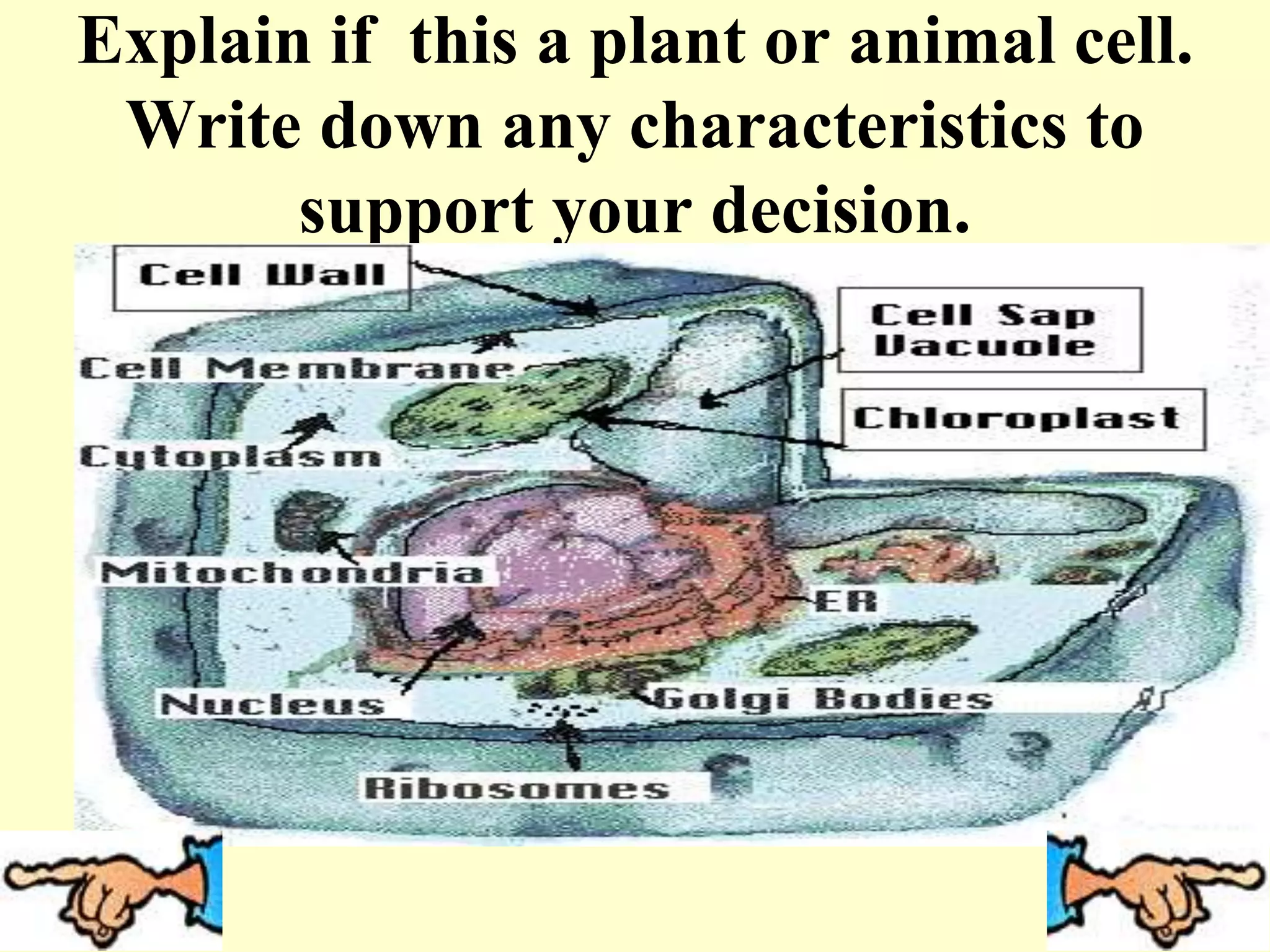 1. Animal Plant Cells differences 2.ppt