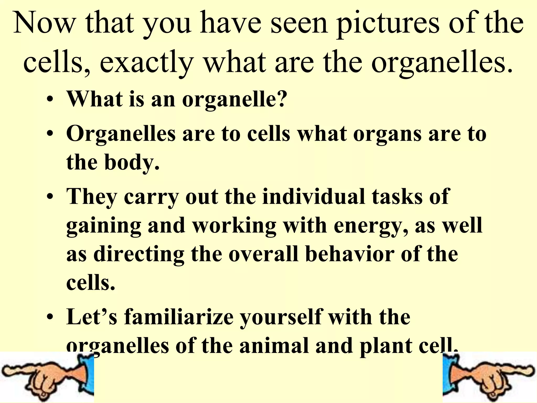 1. Animal Plant Cells differences 2.ppt