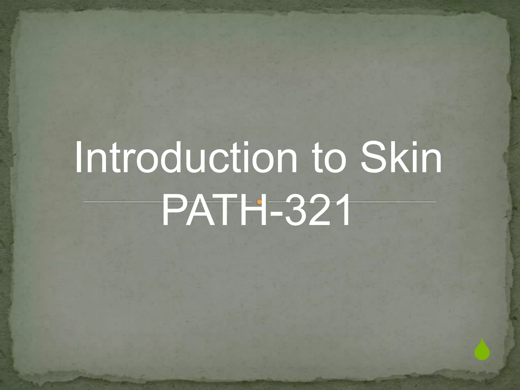 1. introduction to skin PATH-321.pptx