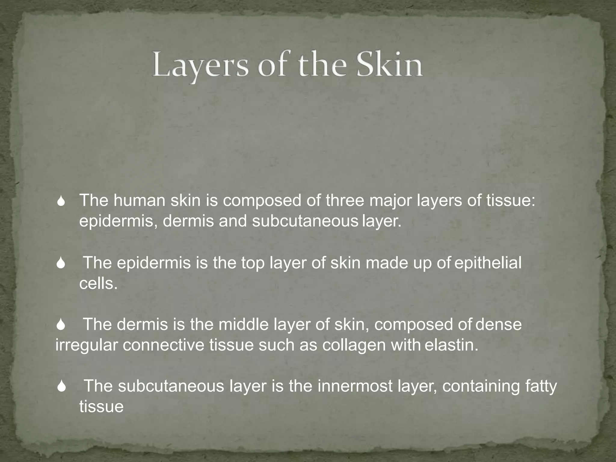 1. introduction to skin PATH-321.pptx