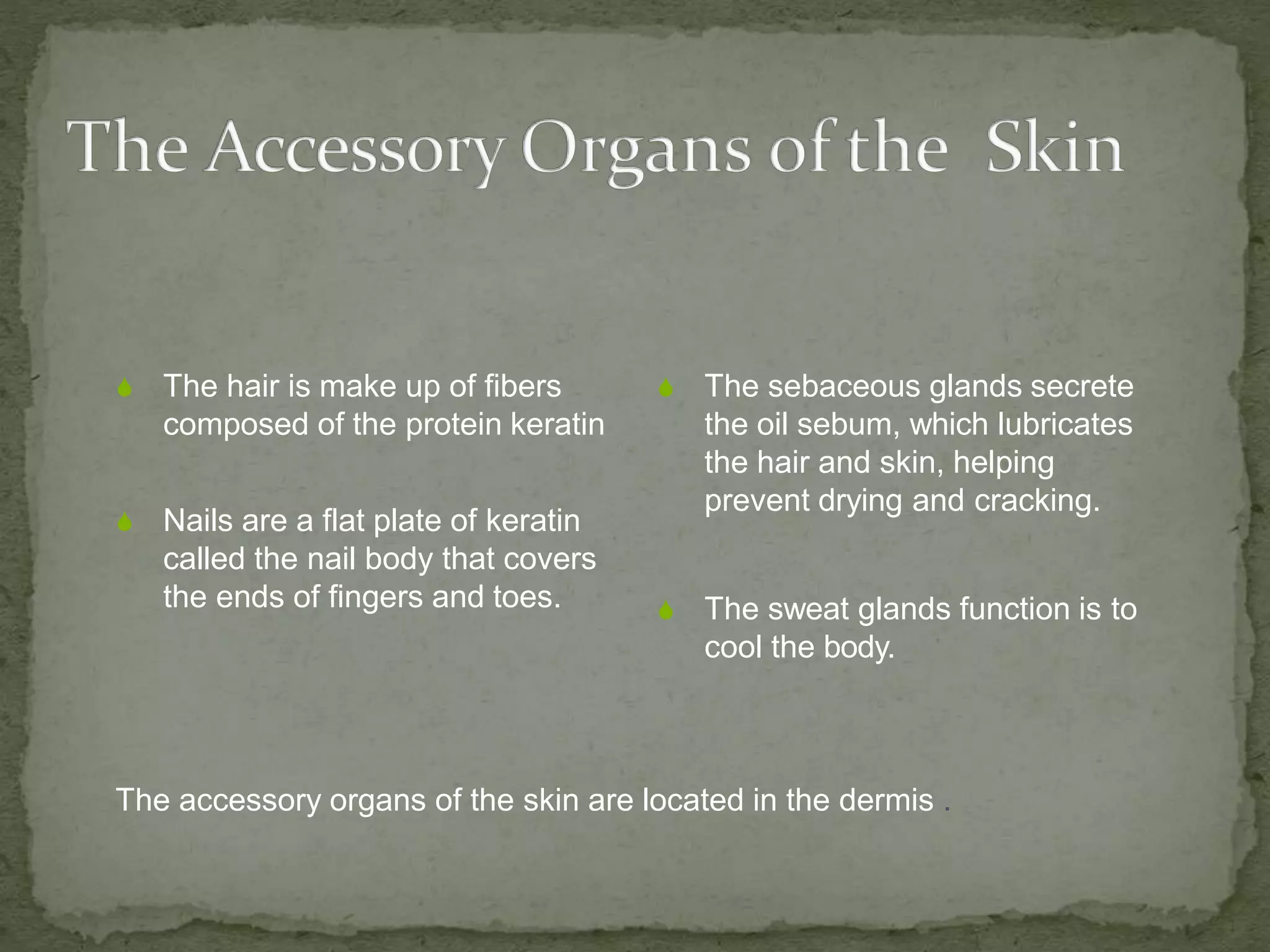 1. introduction to skin PATH-321.pptx