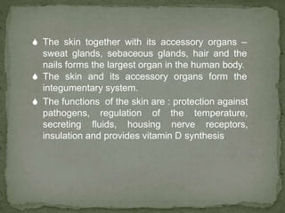 1. introduction to skin PATH-321.pptx