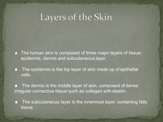 1. introduction to skin PATH-321.pptx