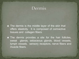 1. introduction to skin PATH-321.pptx