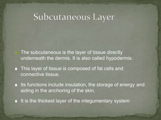 1. introduction to skin PATH-321.pptx