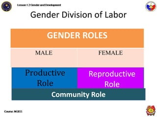 1.2 Gender and Development NGIS.ppt