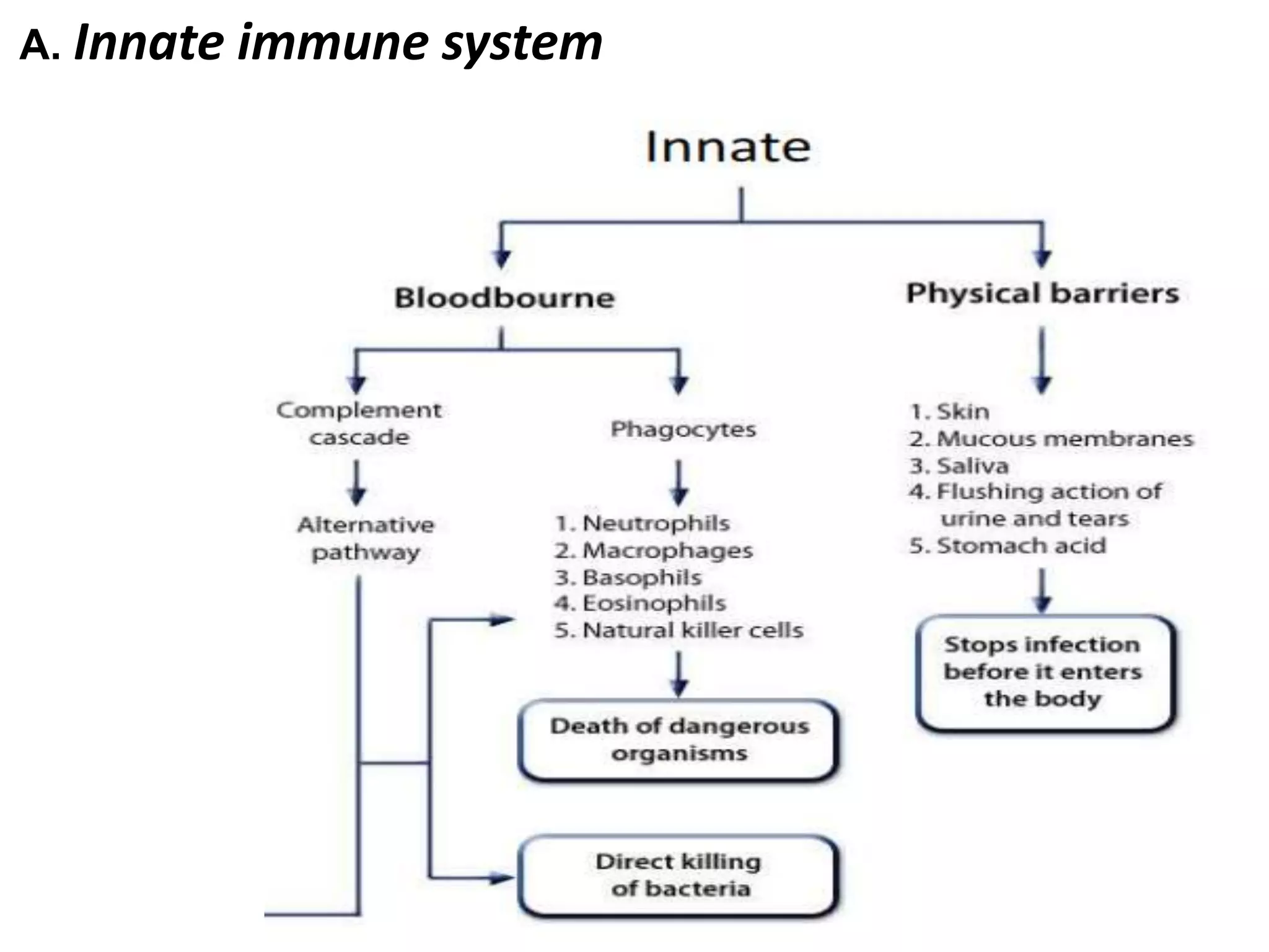 IMMUNOKIMIA.ppt