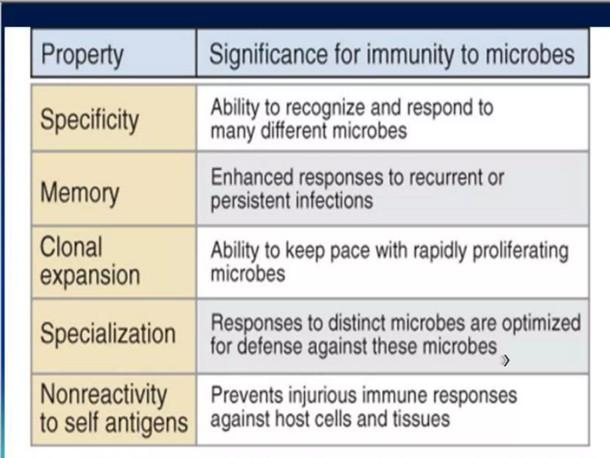 IMMUNOKIMIA.ppt