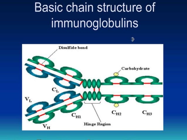 IMMUNOKIMIA.ppt