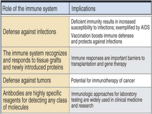 IMMUNOKIMIA.ppt