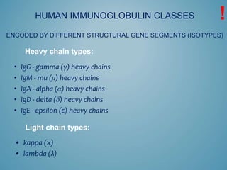 IMMUNOGLOBULINS.ppt