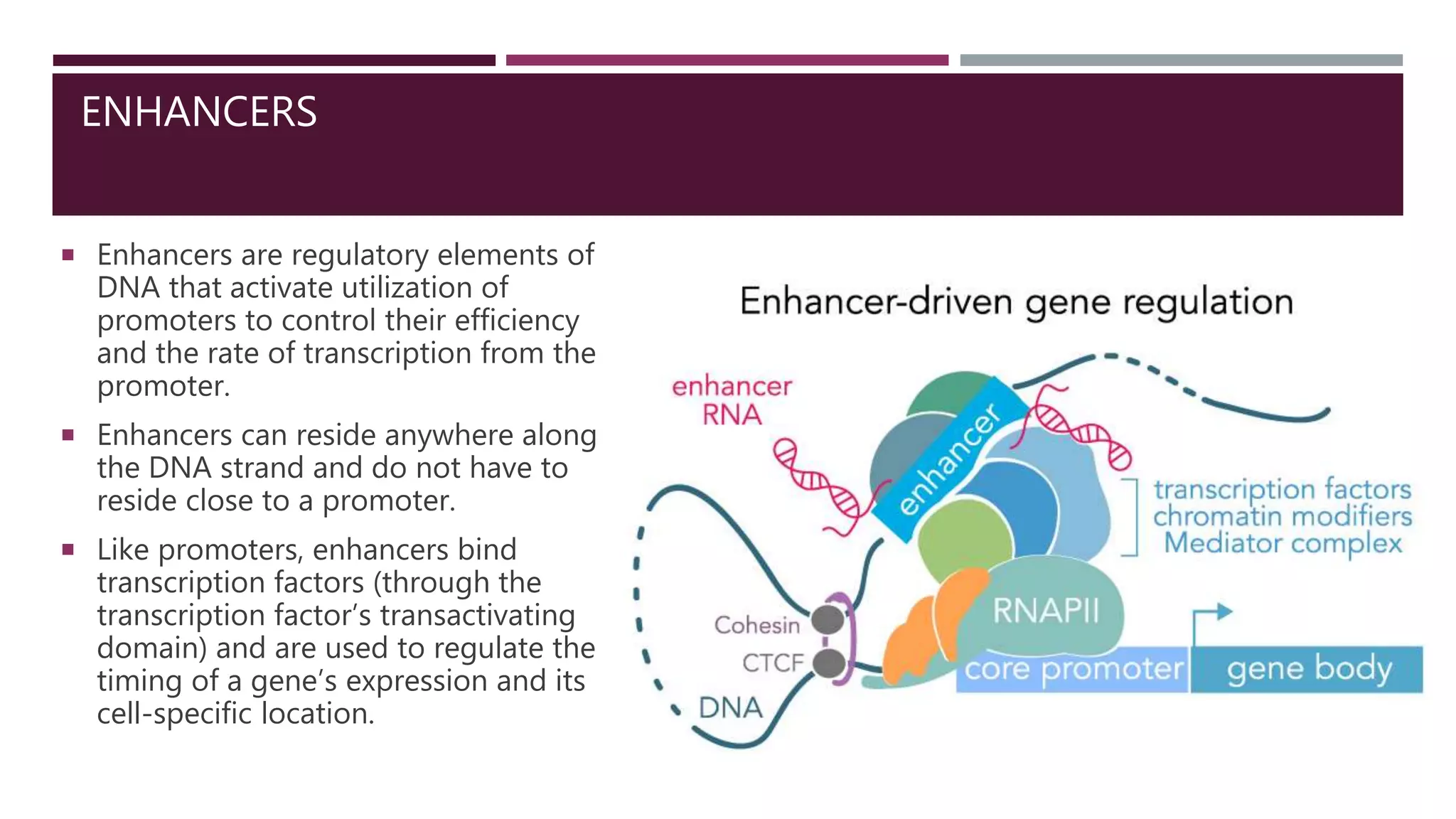 1. 1Introduction to Molecular regulation and signaling.pptx