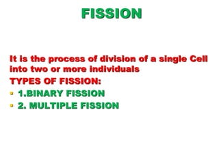 1. DEVELOPED BY NVS.ppt