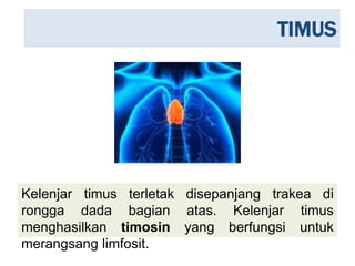 1.1.KMB1-PENGANTAR SISTEM ENDOKRIN.pptx