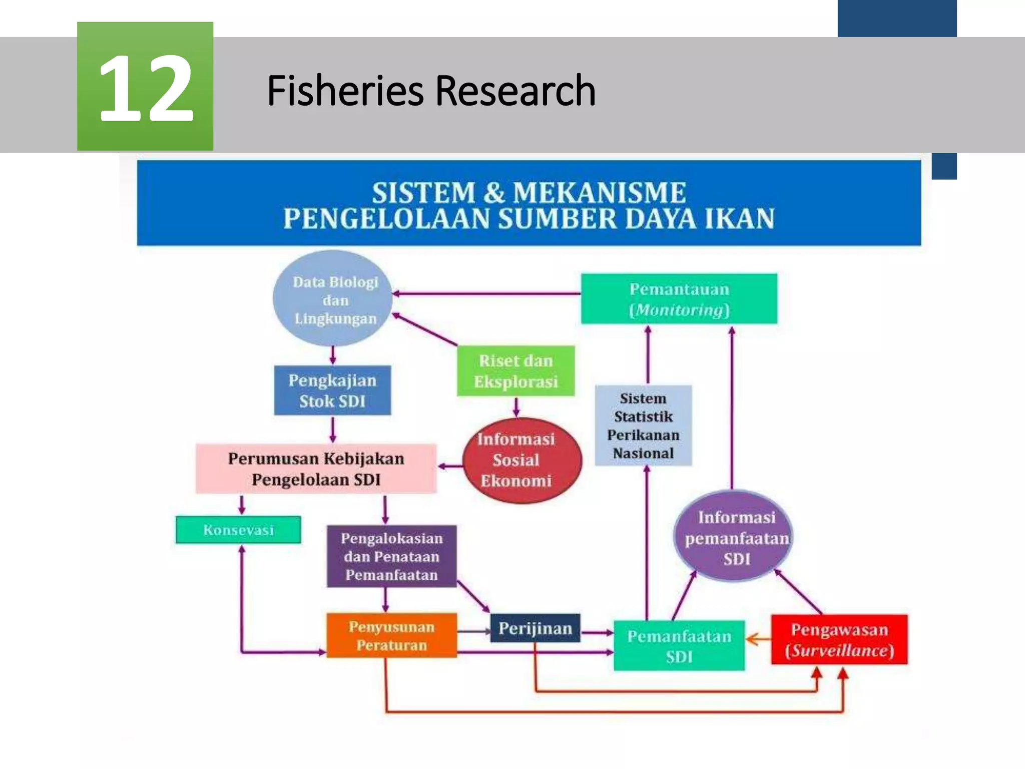 1. Perspective_CCRF.pptx