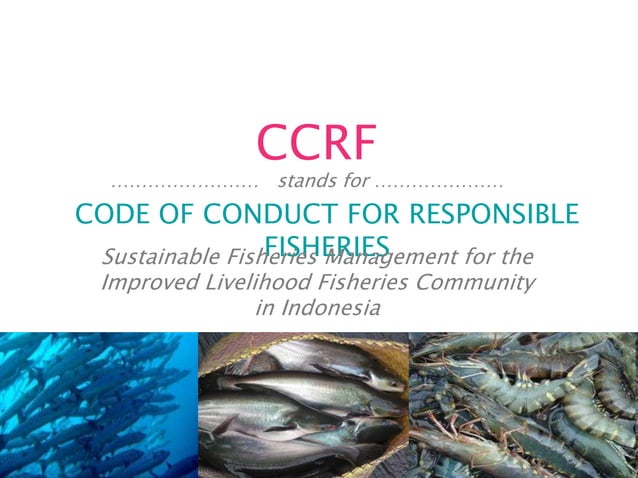 1. Perspective_CCRF.pptx