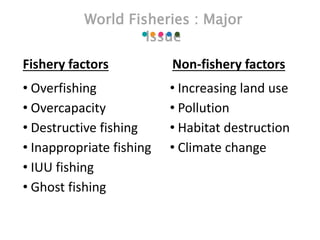 1. Perspective_CCRF.pptx