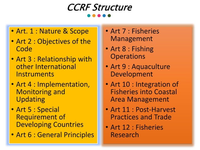 1. Perspective_CCRF.pptx