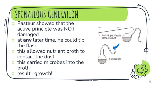 1. WEEK 1-Spontaneous Generation.pptx | Biological Sciences | Science
