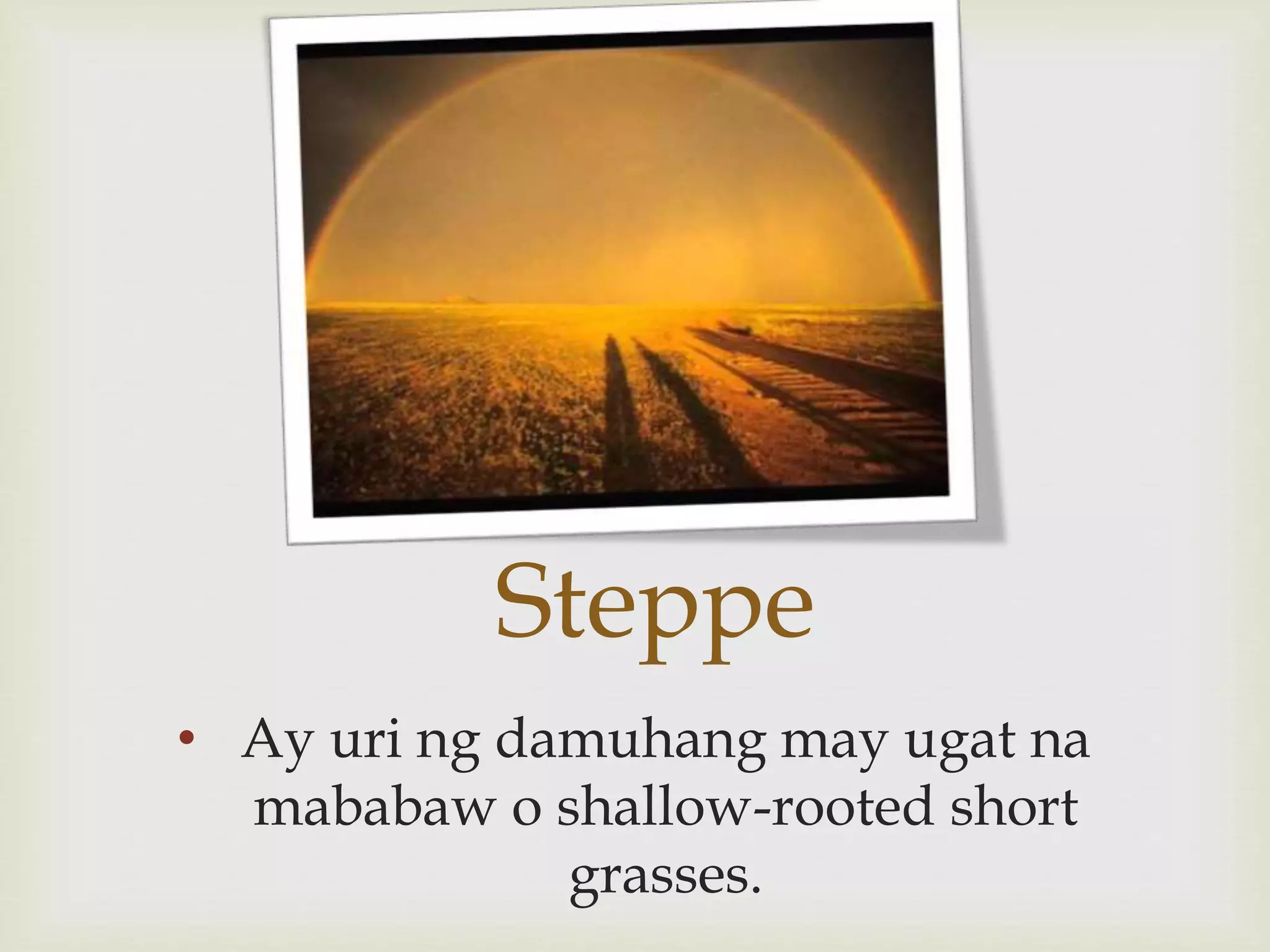 1. Mga Vegetation Cover ng Asya.pdf