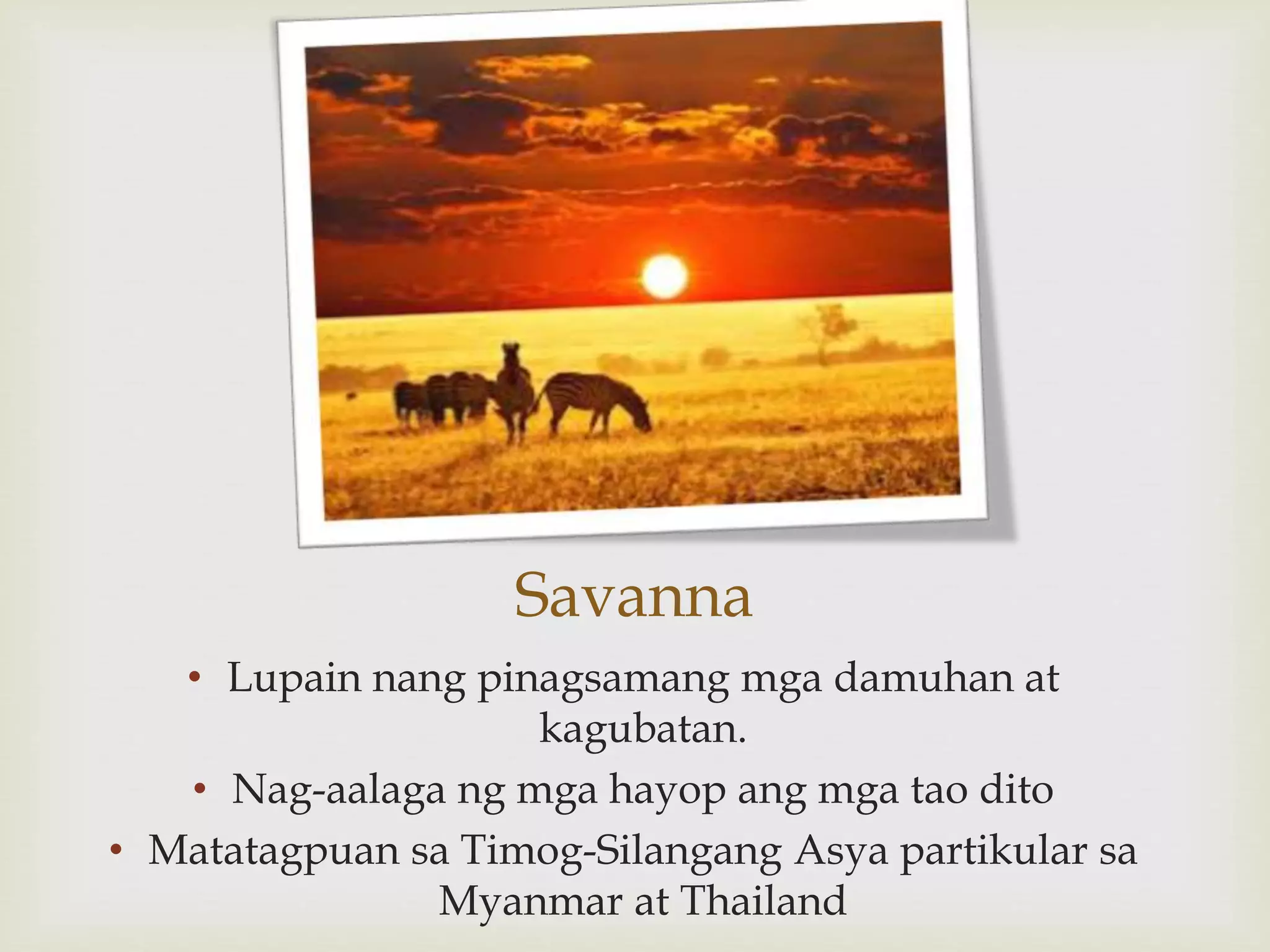 1. Mga Vegetation Cover ng Asya.pdf