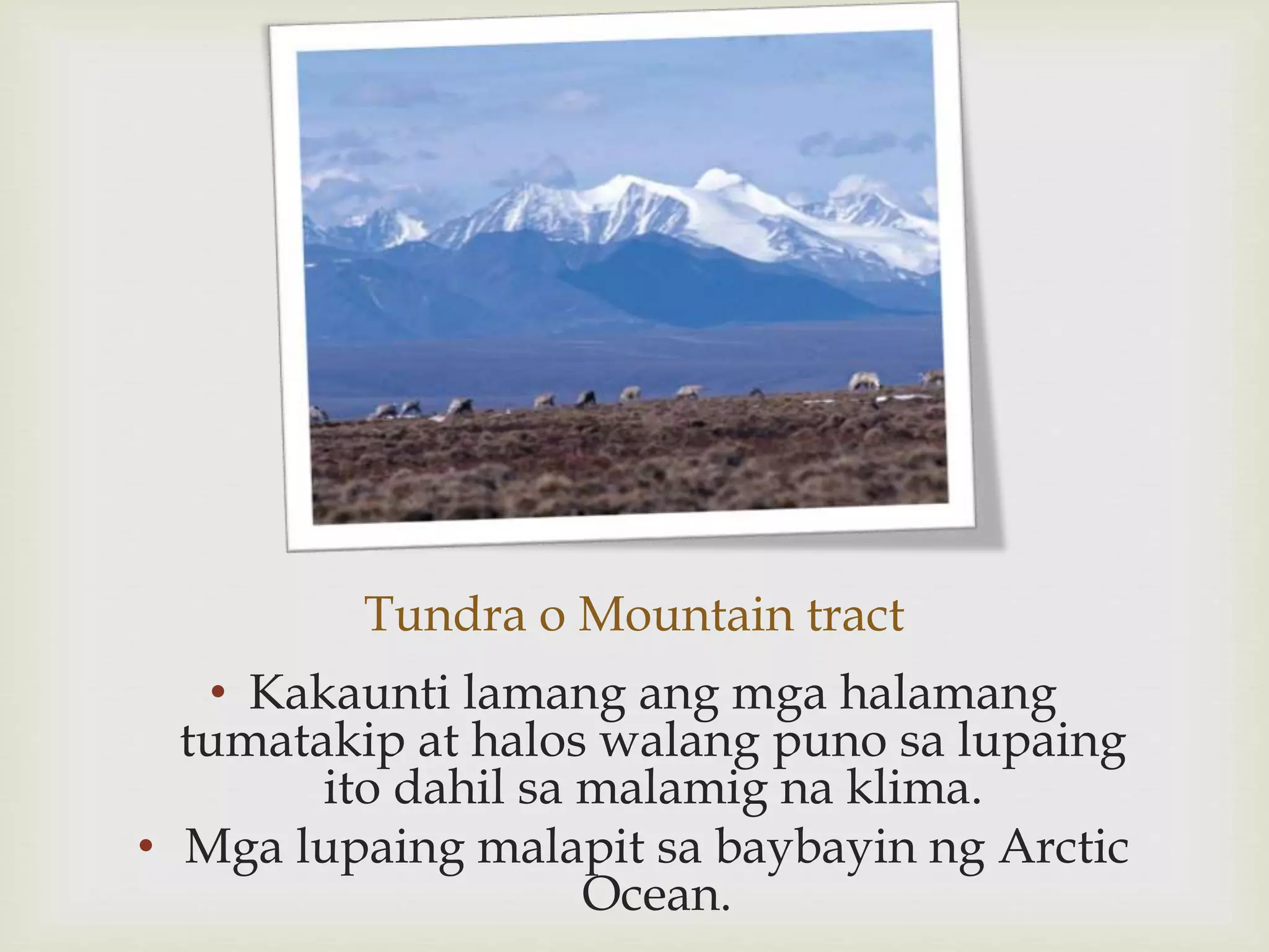 1. Mga Vegetation Cover ng Asya.pdf