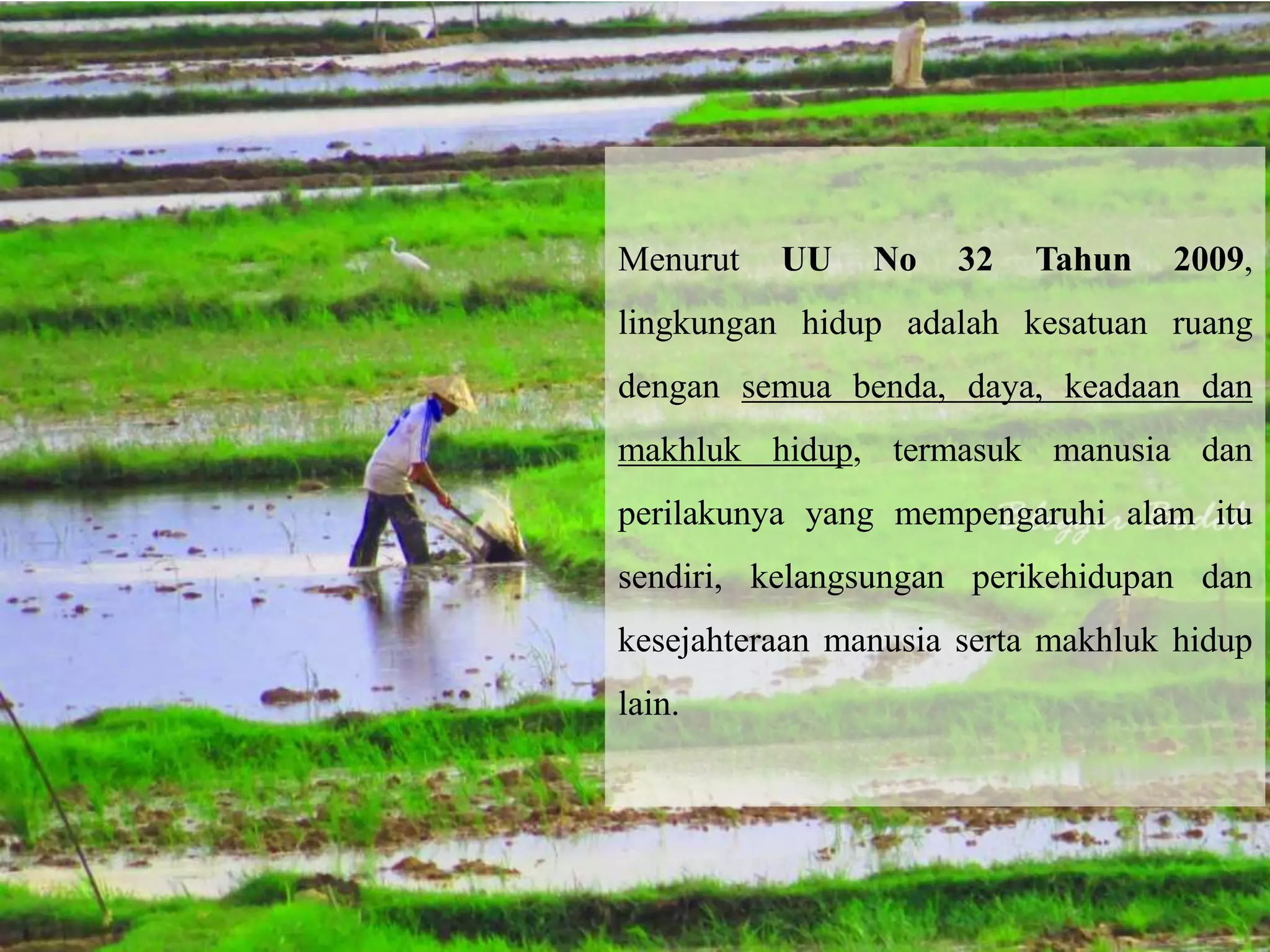 1. Pendahuluan konsep pengelolaan lingkungan.pptx