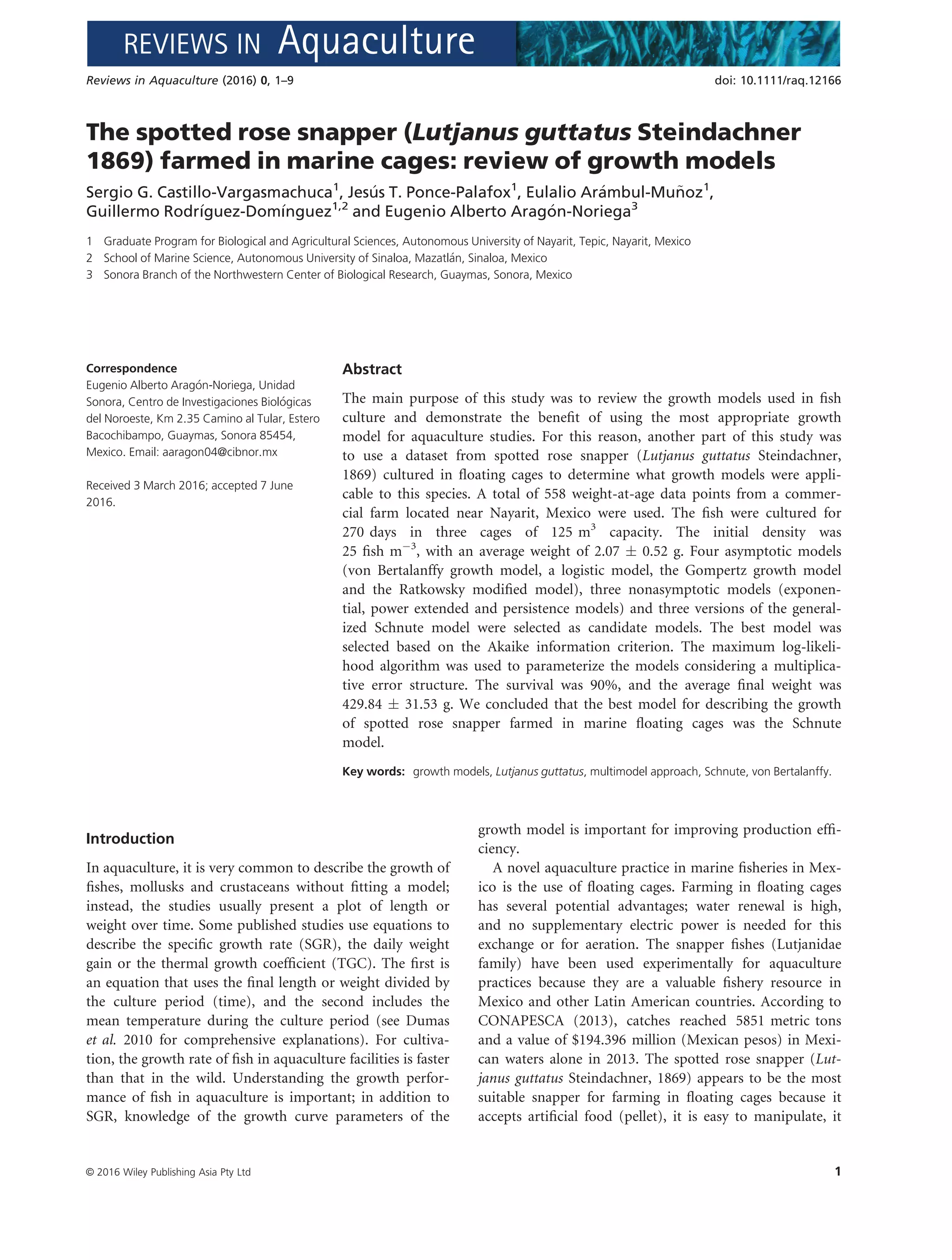 1.The spotted rose snapper (Lutjanus guttatus Steindachner.pdf