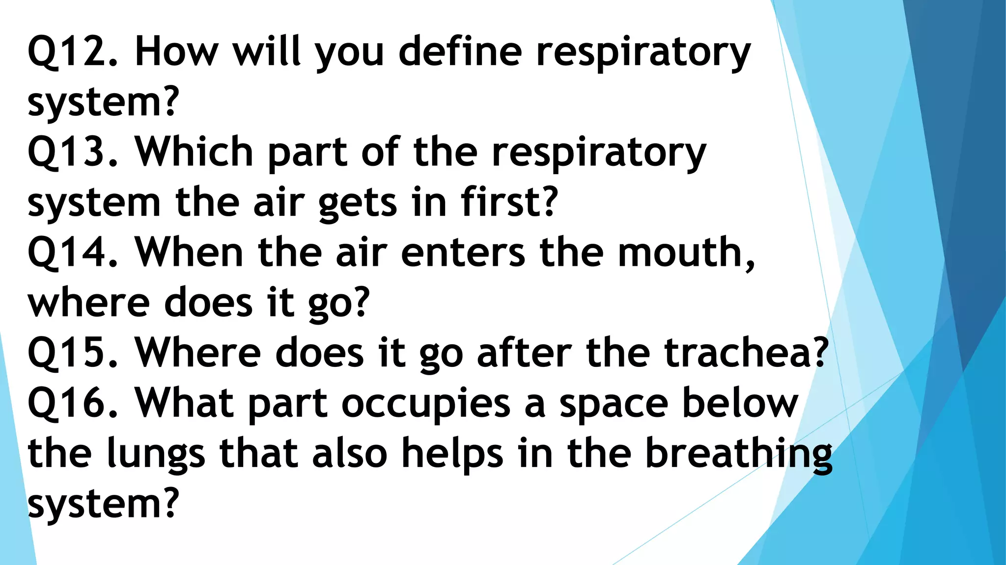 1. The Human Breathing System.pptx