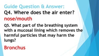 1. The Human Breathing System.pptx