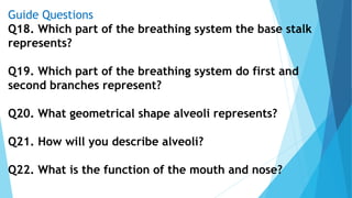 1. The Human Breathing System.pptx