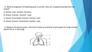1. The Human Breathing System.pptx