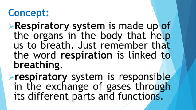 1. The Human Breathing System.pptx