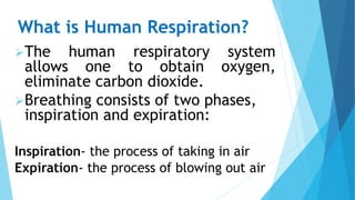 1. The Human Breathing System.pptx