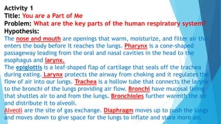 1. The Human Breathing System.pptx