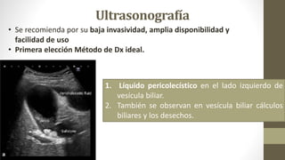 1.- Colecistitis y Piocolecisto.pptx