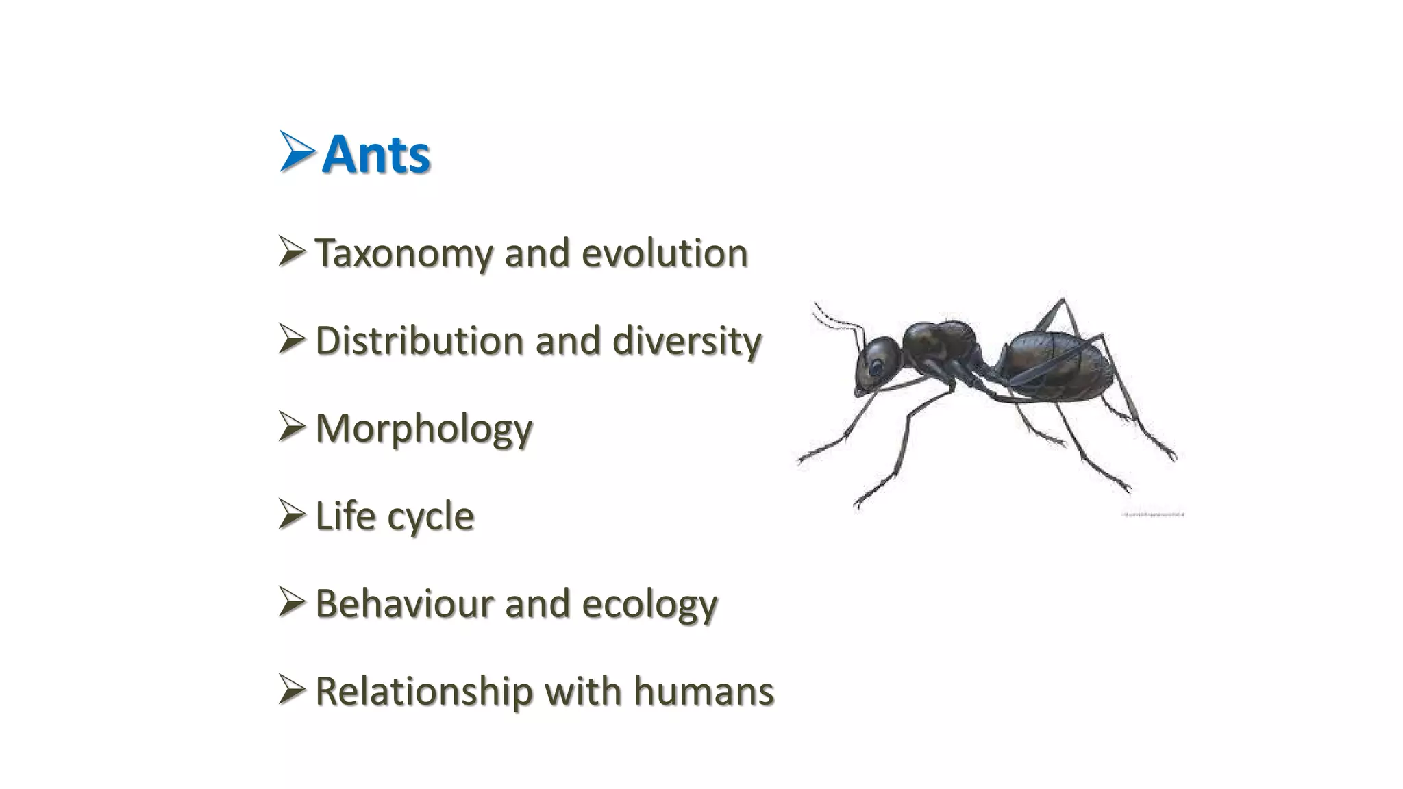 1. Purnama Hidayat-taxonomy ants.pdf