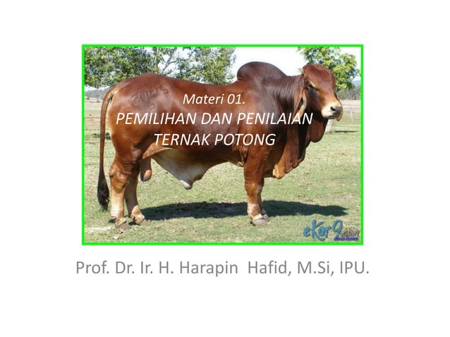 1. PEMILIHAN DAN PENILAIAN TERNAK POTONG.pdf