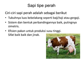 1. PEMILIHAN DAN PENILAIAN TERNAK POTONG.pdf