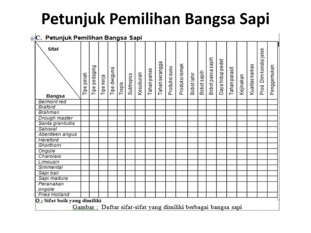 1. PEMILIHAN DAN PENILAIAN TERNAK POTONG.pdf