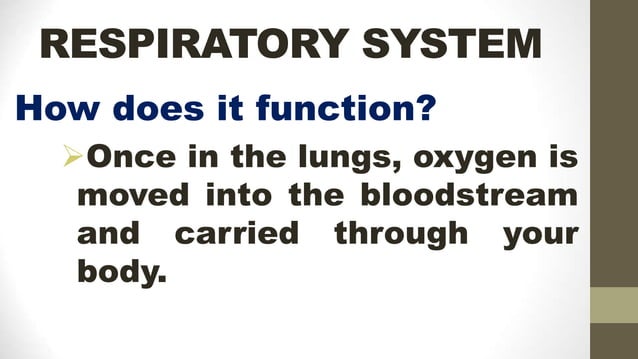1. Respiratory System ppt.ppt