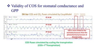 Wu, Mousong: Optimizing ecosystem carbon and water fluxes using COS and ...