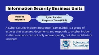 Contrast & Compare & Contrast Information Security Roles | PDF