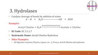 1. Enzymes- Nomenclature and classifications - Copy.pptx