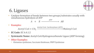 1. Enzymes- Nomenclature and classifications - Copy.pptx