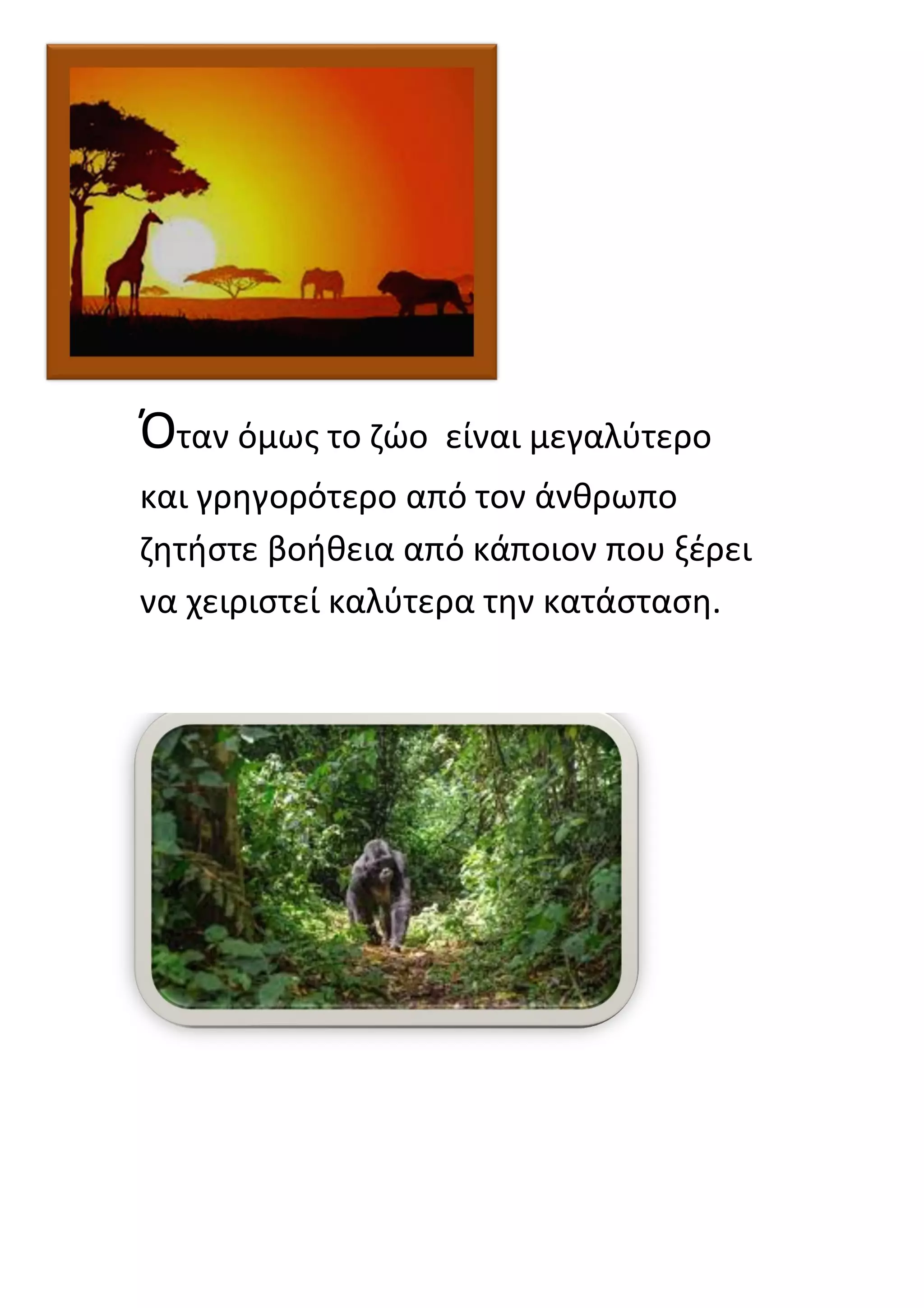 9 ΑΦΙΕΡΩΜΑ ΣΤΑ ΖΩΑ (1).pdf