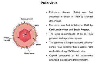 1.ARTIFICIAL VIRUS OR DESIGNER VIRUS.ppt