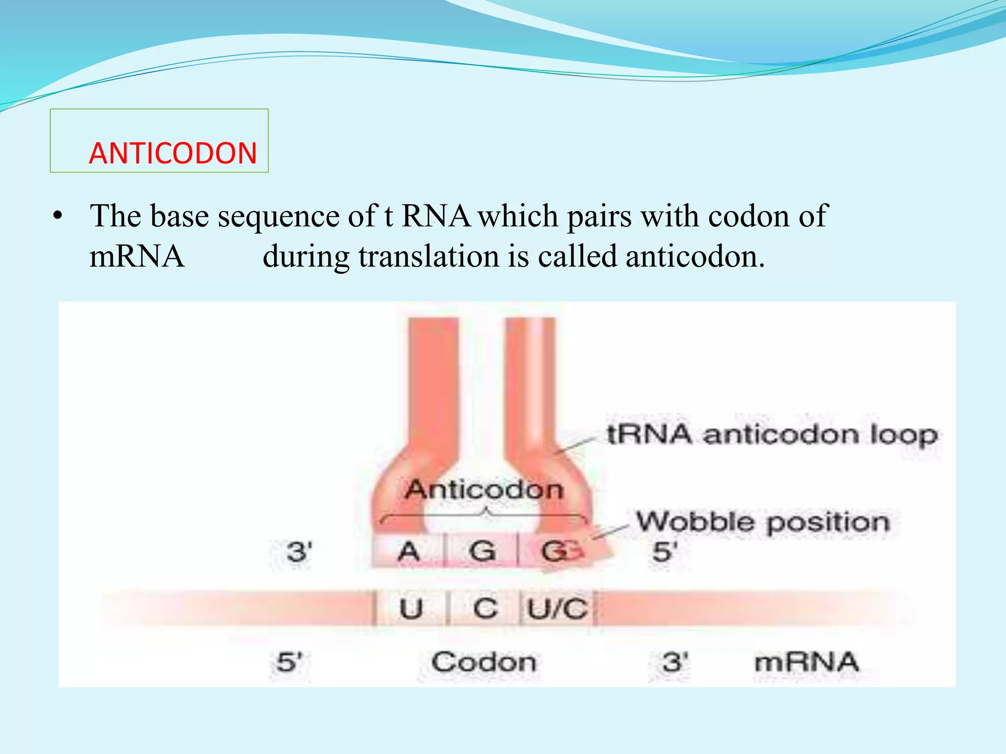 1. Genetic Code.pptx