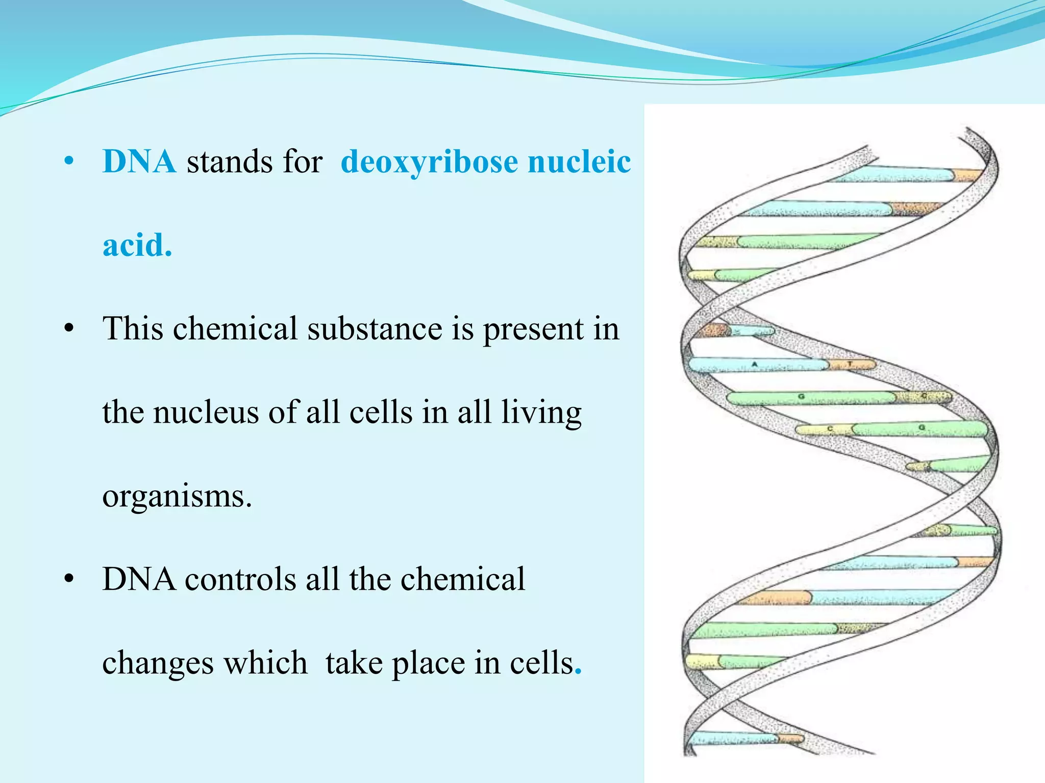1. Genetic Code.pptx