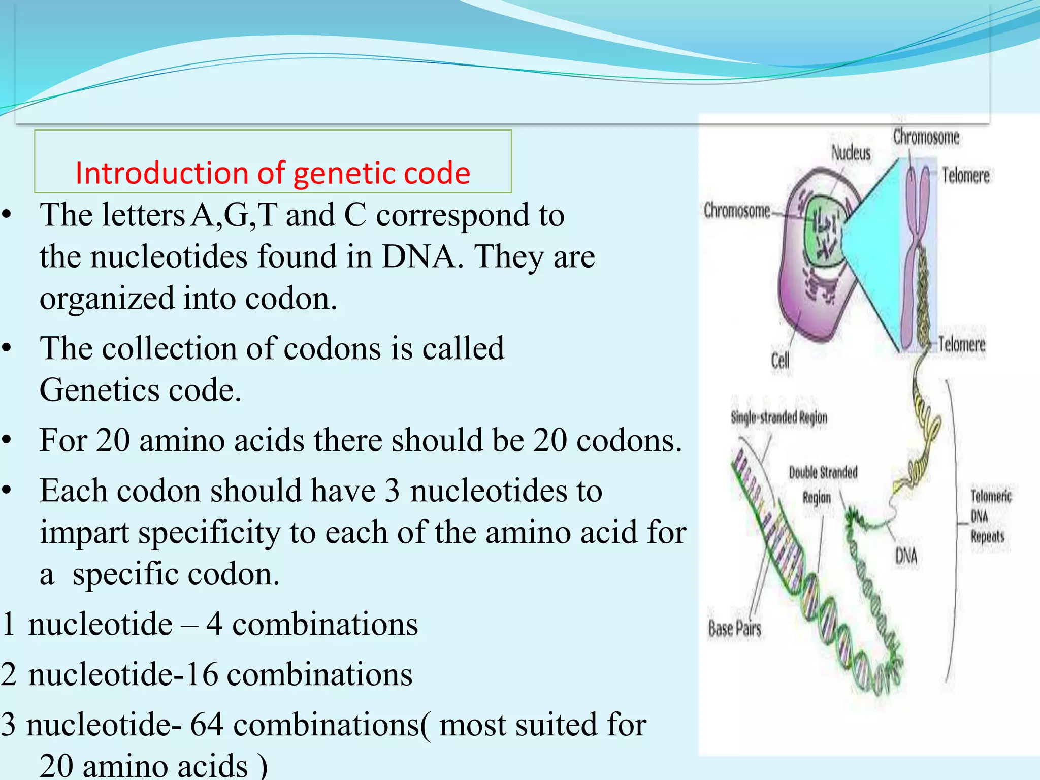 1. Genetic Code.pptx